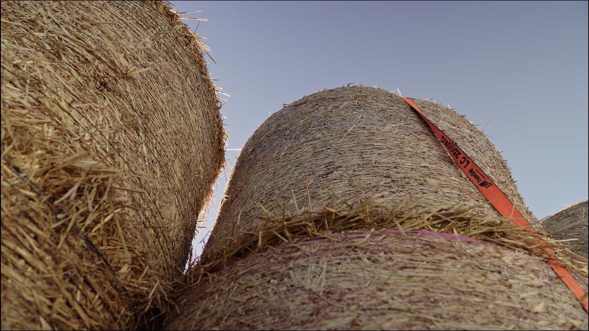 The Chaff Chaps | Quality New Zealand Chaff